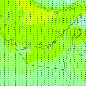 Emirates - The National Center | Active winds that carry dust and raise ...