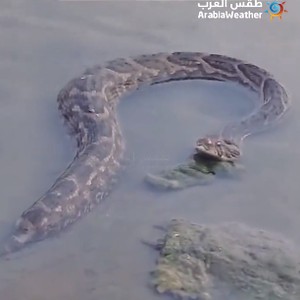 Quito Weather - Weather Forecast for Quito , Ecuador | ArabiaWeather