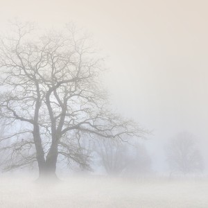 Saudi Arabia Arab Weather Warns Of Dense Fog In Jubail Nairiyah