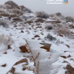 Riyadh Mulhem Weather - Weather Forecast for Riyadh Mulhem , Saudi ...