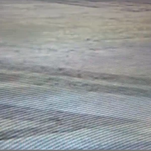 بالفيديو أمطار الخير تهطل على الحرم النبوي في المدينة المنورة