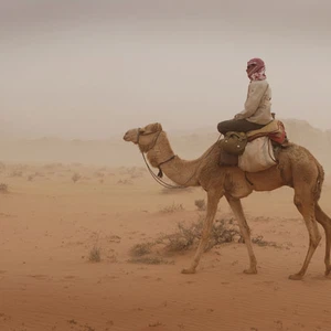لحظة سقوط خيمة على من فيها بالسعودية أثناء هبوب رياح عاتية طقس العرب