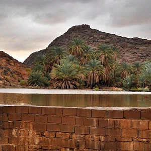 Saudi Arabia | From the memories of the mark.. the rainy state of Ghaith and its effects on the ...
