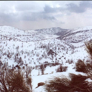 رياح قطبية تتجه الى البلاد في الثلث الأول من يناير Arabiaweather