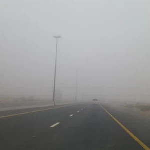 بالصور تشكل الضباب ببعض مناطق الدولة صباح اليوم Arabiaweather