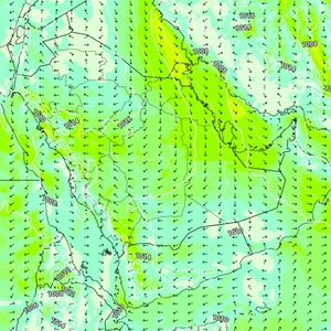 Early signs warn of new dust storms hitting three Arab countries ...