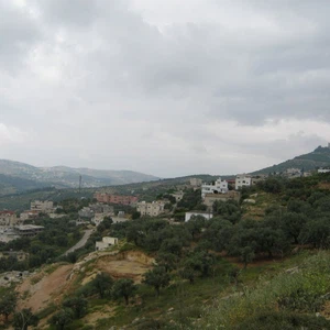 بشرى تغادر المملكة الجمعة مع بقاء الأجواء باردة Arabiaweather