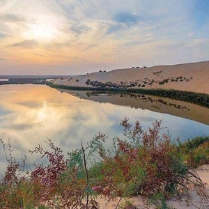 pistons | Lac Al-Asfar à Al-Ahsa.. une oasis d'eau dans les profondeurs ...