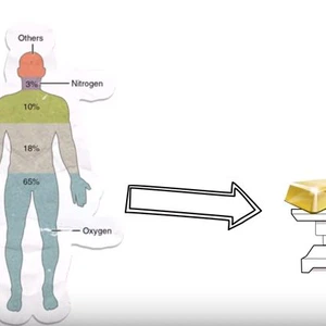 How much gold is in the human body? | ArabiaWeather | ArabiaWeather