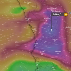 Saudi Arabia | The influence of the morning winds increased on the ...