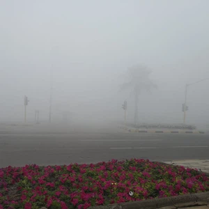 Saudi Arabia Waves Of Fog Will It Be Repeated On Sharqiyah And