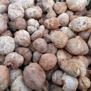 Learn about the most famous types of truffles in Saudi Arabia ...