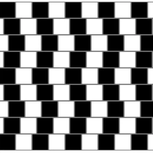 Puzzles and optical illusions that will blow your mind! | ArabiaWeather ...