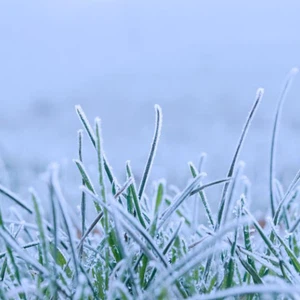 Jordan Temperatures Around Zero Degrees Celsius And Possible Frost In