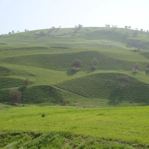 جولة إلى طاحونة عودة في لواء الكورة بشمال الاردن | طقس العرب | طقس العرب