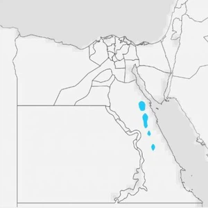 مصر طقس حار و رطب مع احتمالية ظهور بعض السحب الركامية الممطرة على