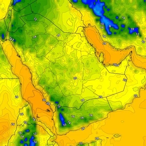 السعودية تجدد فُرص تشكل الضباب على أجزاء من الشرقية فجر وصباح الإثنين