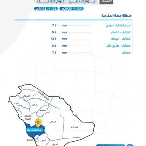 Arabie Saoudite Le Parc Al Souda à Abha A Enregistré 61 Mm De Pluie